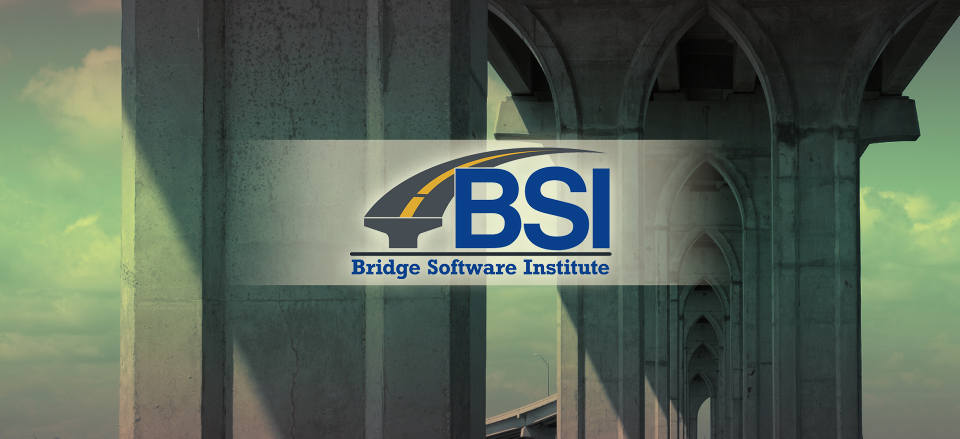BSI - Bridge Software Institute